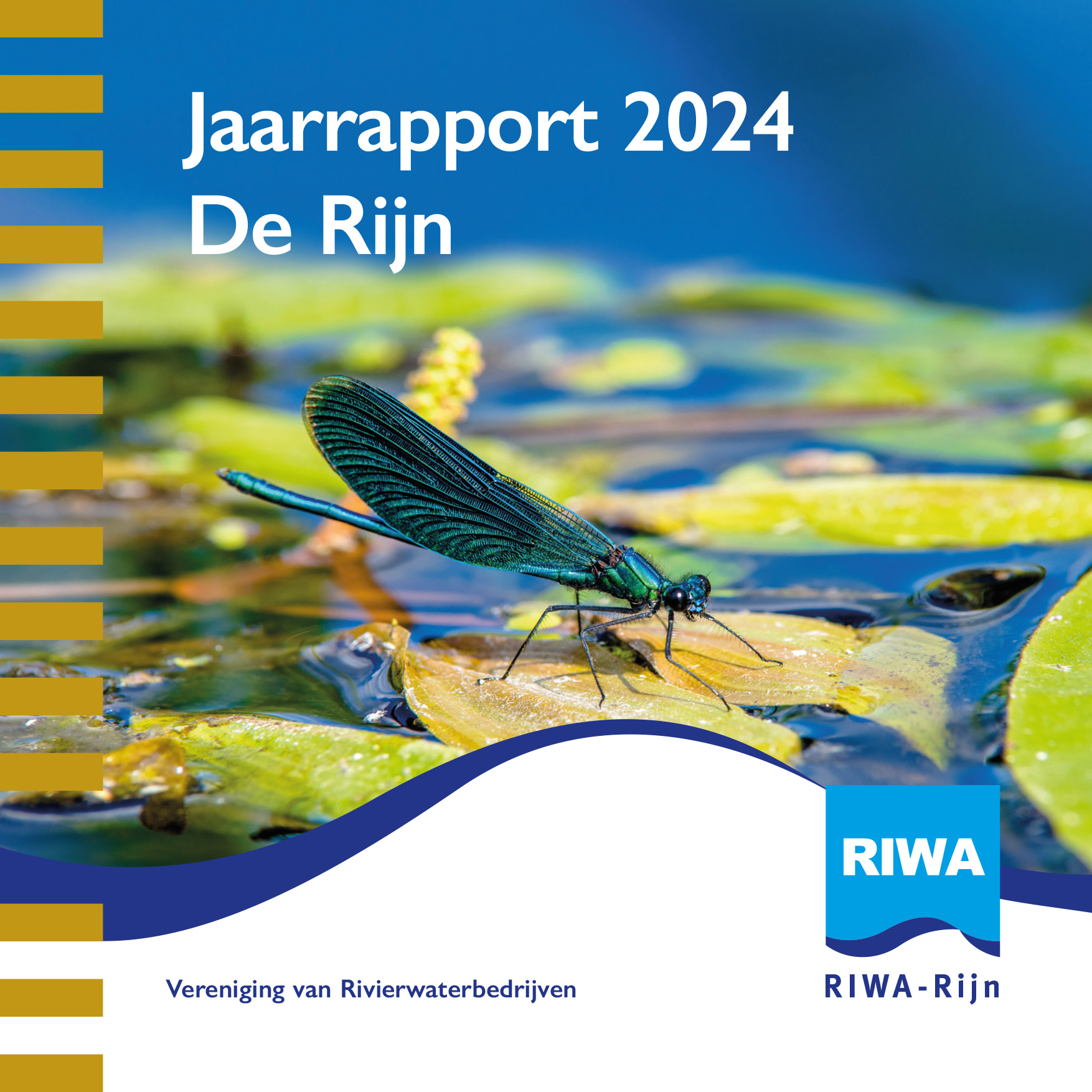 RIWA-Rijn calls on the EU to develop environmental standards for ...